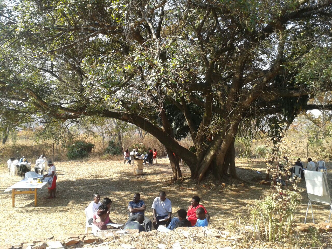 About Tree of Life Zimbabwe | Tree of Life